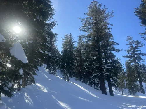 Best Hikes and Trails in Red Lake Wildlife Area | AllTrails