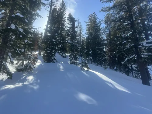 Best Hikes and Trails in Red Lake Wildlife Area | AllTrails