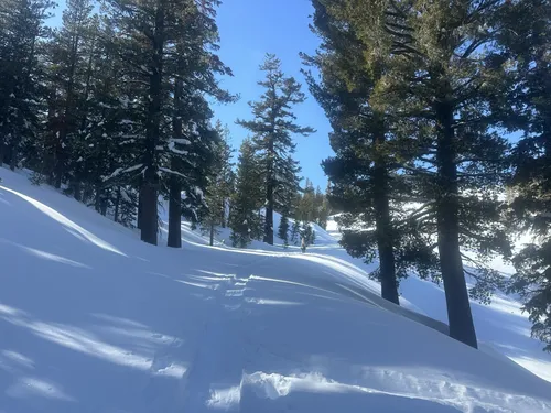 Best Hikes and Trails in Red Lake Wildlife Area | AllTrails