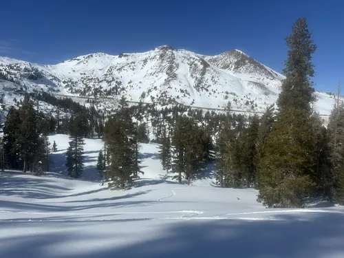 Best Hikes and Trails in Red Lake Wildlife Area | AllTrails