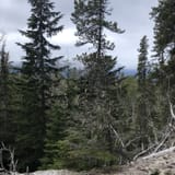 Terrace Mountain and Flathead Loop, British Columbia, Canada - 239 ...