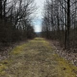 Bushy Run Battlefield Loop, Pennsylvania - 180 Reviews, Map | AllTrails