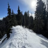 Mount Rose Trail, Washington - 1,451 Reviews, Map | AllTrails