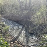 Corral Canyon Loop, California - 1,665 Reviews, Map | AllTrails