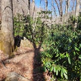 Stiles Falls, Virginia - 487 Reviews, Map | AllTrails