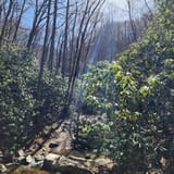 Stiles Falls, Virginia - 487 Reviews, Map | AllTrails