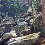 Stiles Falls, Virginia - 487 Reviews, Map | AllTrails