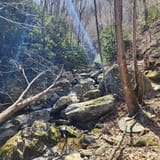 Stiles Falls, Virginia - 487 Reviews, Map | AllTrails