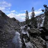 Hunter Creek Trail, Nevada - 4,318 Reviews, Map | AllTrails