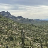 Weavers Needle Loop Trail, Arizona - 632 Reviews, Map | AllTrails