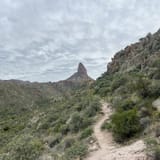 Weavers Needle Loop Trail, Arizona - 632 Reviews, Map | AllTrails