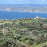 Tomales Point Trail, California - 6,287 Reviews, Map | AllTrails