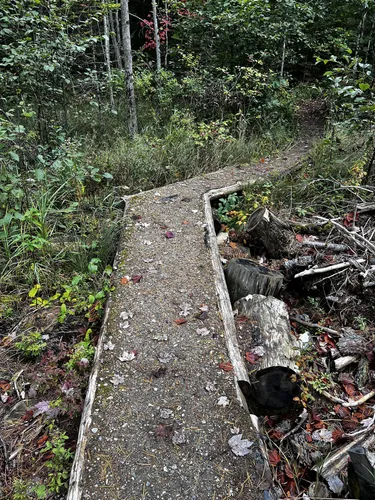 Best Lake Trails in Grayling | AllTrails