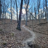 White Bison Loop, Missouri - 2,287 Reviews, Map | AllTrails