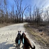 Sac and Fox Trail, Iowa - 268 Reviews, Map | AllTrails