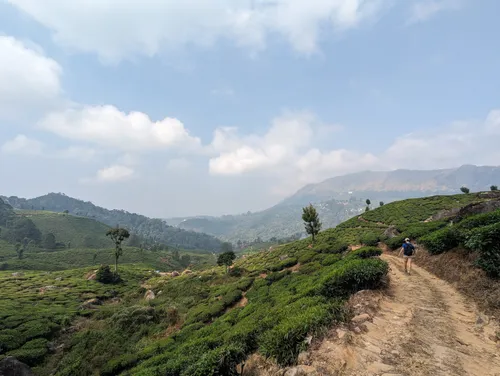 10 Best Trails and Hikes in Munnar | AllTrails