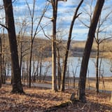 White Bison Loop, Missouri - 2,287 Reviews, Map | AllTrails