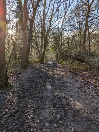 Best Hikes and Trails in Selsdon Wood Nature Reserve | AllTrails