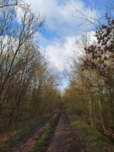 Best Hikes and Trails in Bateswood Nature Reserve | AllTrails