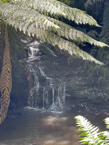 Best Hikes and Trails in Mount Worth State Park | AllTrails