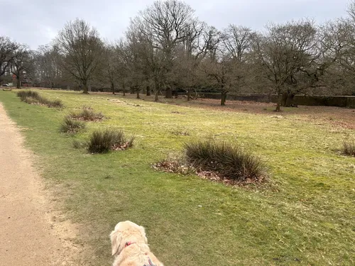 Best Hikes and Trails in Dunham Massey Park | AllTrails