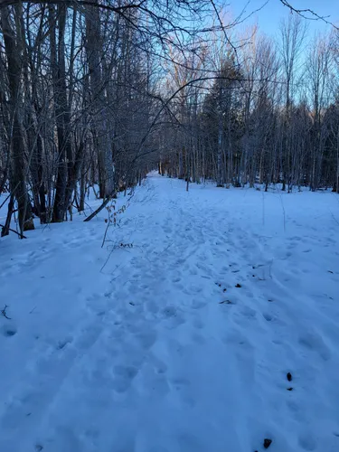 Best Hikes and Trails in Joseph A. Blake Wildlife Sanctuary | AllTrails