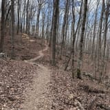 Walls of Jericho Trail, Alabama - 2,289 Reviews, Map | AllTrails