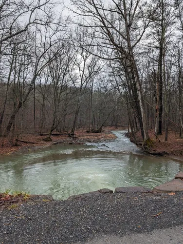 Best River Trails in Green Ridge State Forest | AllTrails