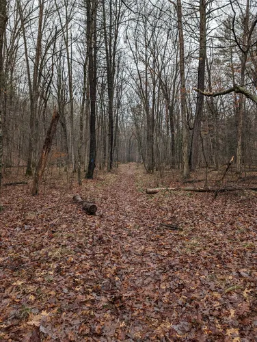 Best River Trails in Green Ridge State Forest | AllTrails