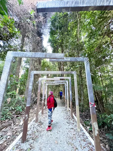 Bukit Beruang Forest Reserve: de beste routes om te wandelen | AllTrails