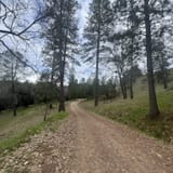 Lake Tabeaud Loop, California - 966 Reviews, Map | AllTrails