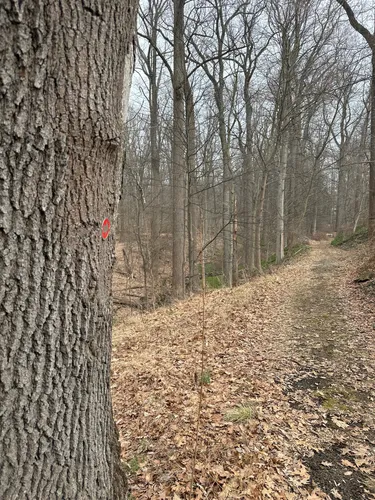 Best Hikes and Trails in Kirkpatrick Park | AllTrails