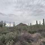 Valley View Overlook Trail, Arizona - 1,401 Reviews, Map | AllTrails