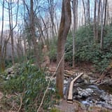 Ramsey Cascades Trail, Tennessee - 2,213 Reviews, Map | AllTrails