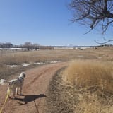 Palmer Divide Trail, Colorado - 69 Reviews, Map | AllTrails