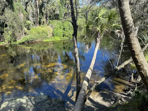 Best Hikes and Trails in Fish Hawk Nature Preserve North | AllTrails