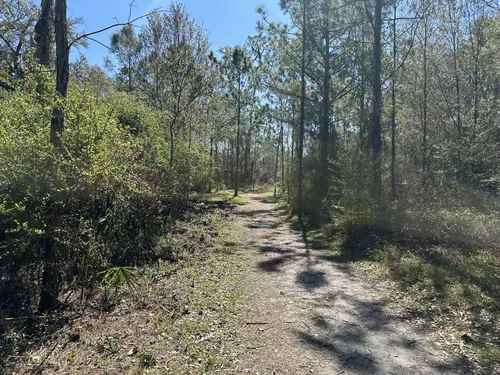 Best Hikes and Trails in Fish Hawk Nature Preserve North | AllTrails