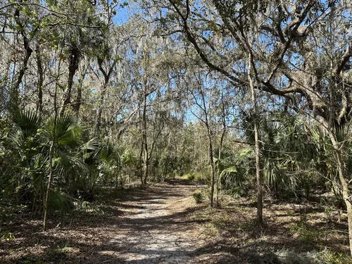 Best Hikes and Trails in Fish Hawk Nature Preserve North | AllTrails