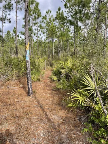 Best Hikes and Trails in Escribano Point Wildlife Management Area ...