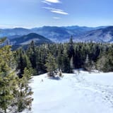 Mount Crawford via Davis Path Trail, New Hampshire - 986 Reviews, Map ...