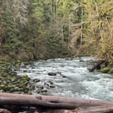 Staircase Rapids Loop, Washington - 2,443 Reviews, Map | AllTrails