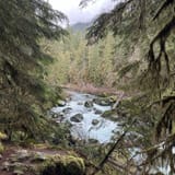 Staircase Rapids Loop, Washington - 2,443 Reviews, Map | AllTrails