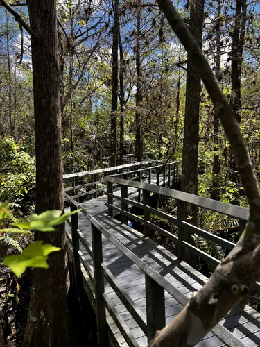 Best Hikes and Trails in Fern Forest Nature Center | AllTrails