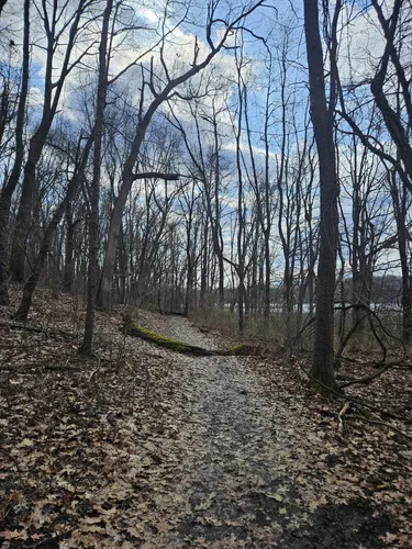 Best Hikes and Trails in Sippo Lake Park | AllTrails