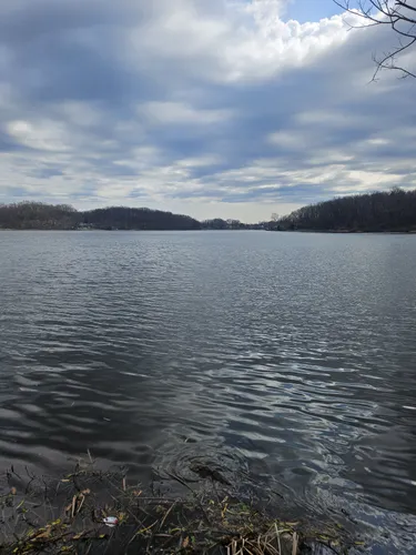 Best Hikes and Trails in Sippo Lake Park | AllTrails