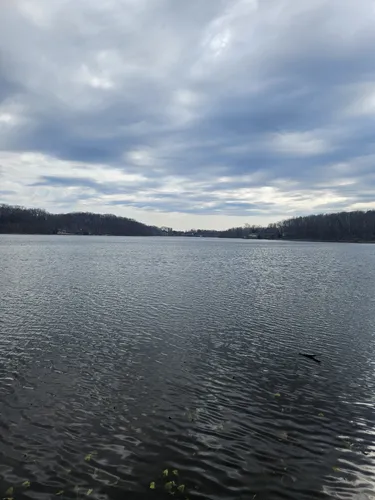 Best Hikes and Trails in Sippo Lake Park | AllTrails