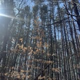 Aman Park Loop, Michigan - 1,217 Reviews, Map | AllTrails