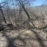 Aman Park Loop, Michigan - 1,217 Reviews, Map | AllTrails