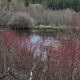 Painted Rocks Nature Trail, Washington - 770 Reviews, Map | AllTrails