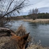 Painted Rocks Nature Trail, Washington - 770 Reviews, Map | AllTrails